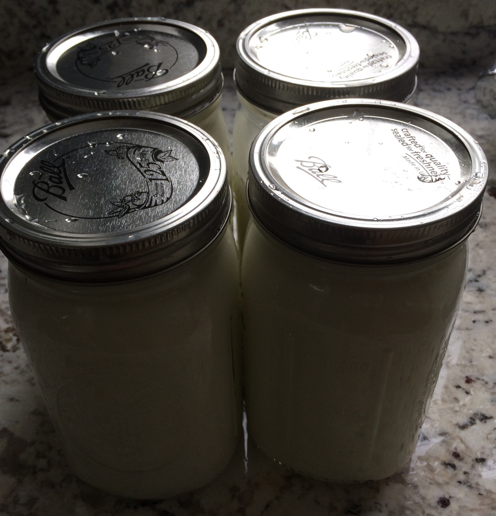 Recipe: How I make yogurt | Molecularist